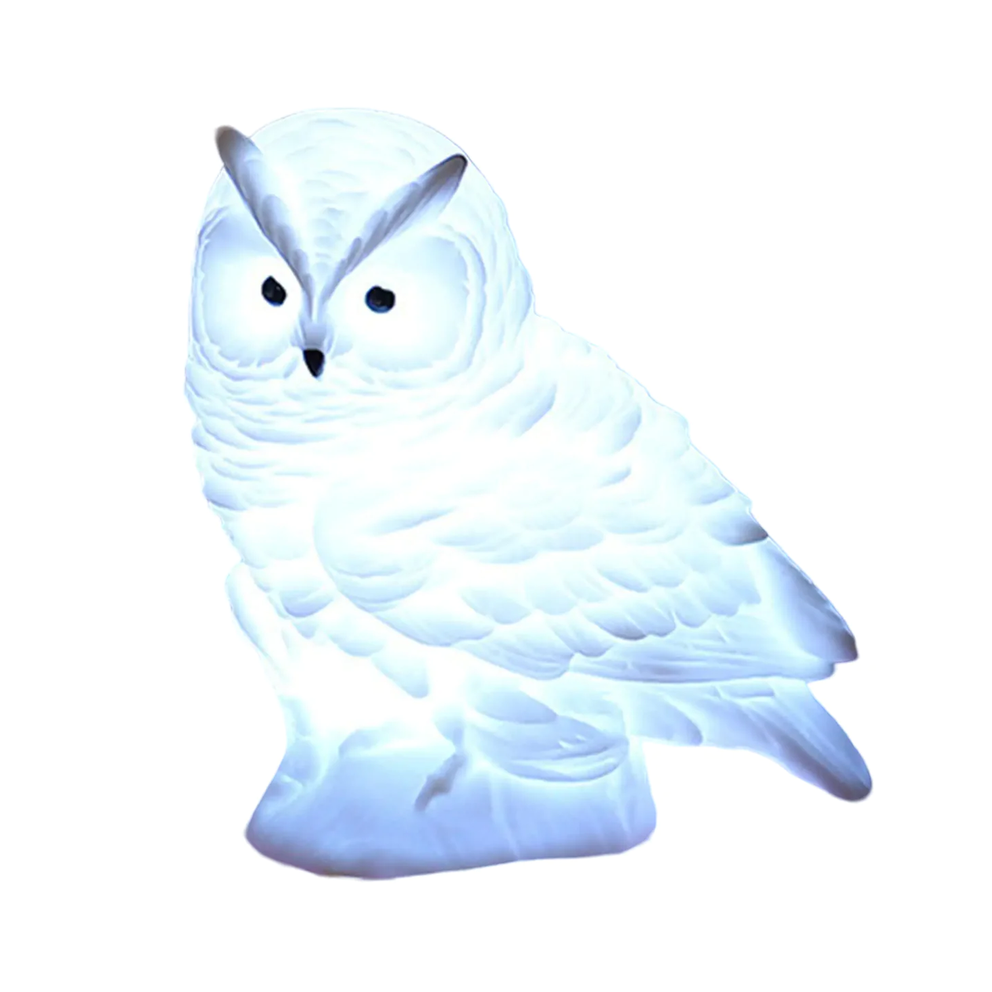 Owl Lamps & Owl Essentials